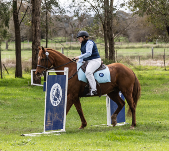 Our Products - Everything Equitation